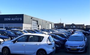 Over ons | DDM Export B.V. | Made