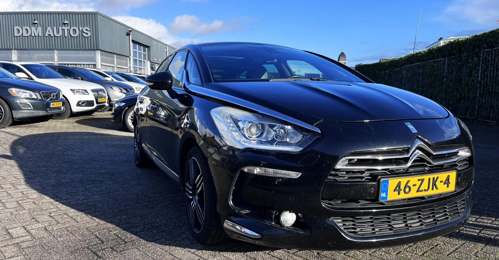 Over ons | DDM Export B.V. | Made